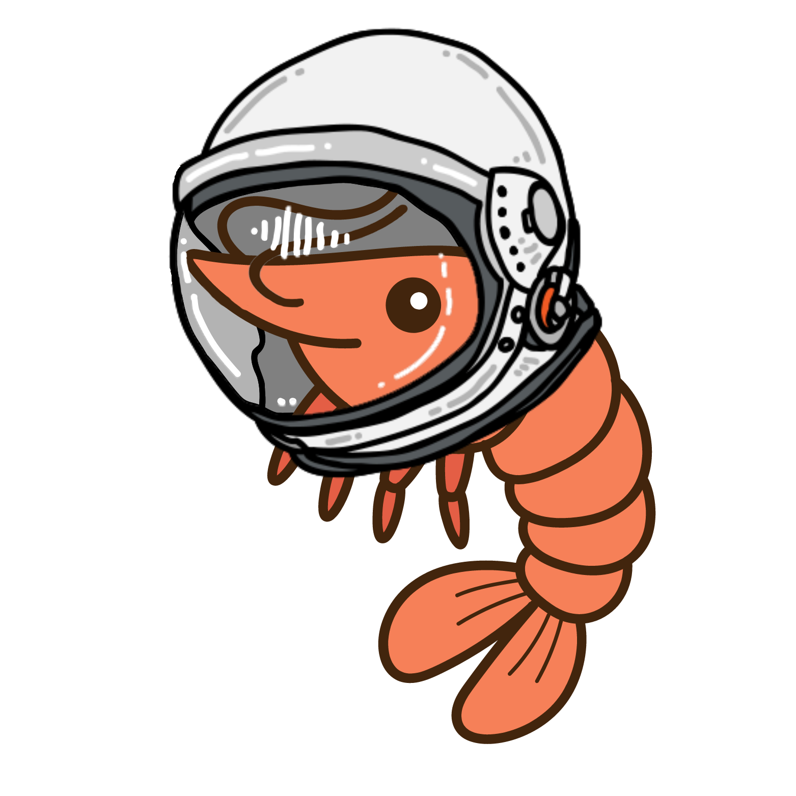 The Spring Institute